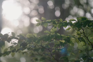 CAD / 3D - Mared Components